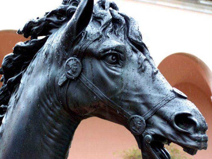 Where is your Bucephalus? - The Strategy School